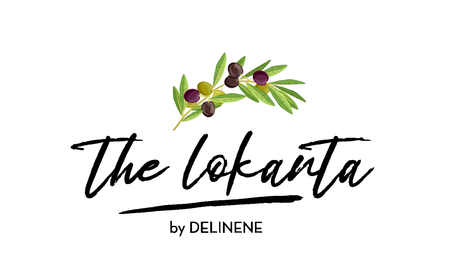 The Lokanta Restaurant – Fine Dining & Turkish Cuisine